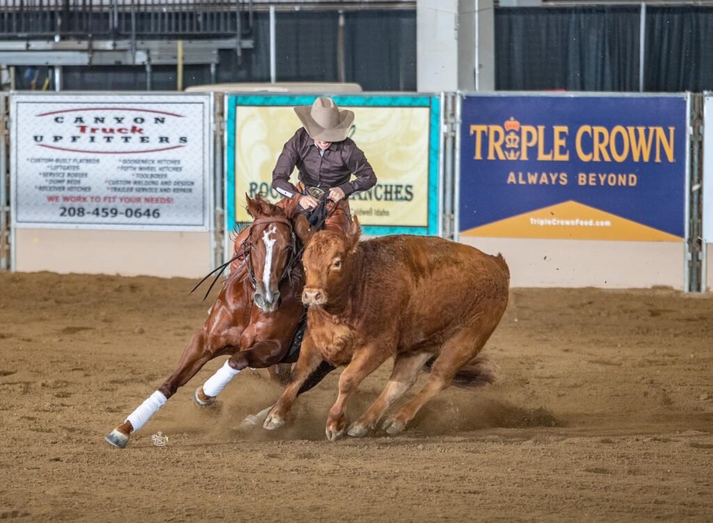 2020 One Time With Stevie - Got Cow Horse WORKS!