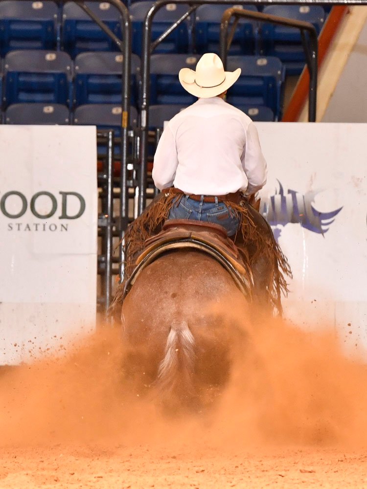 2022 Metallic Rooster - Got Cow Horse WORKS!